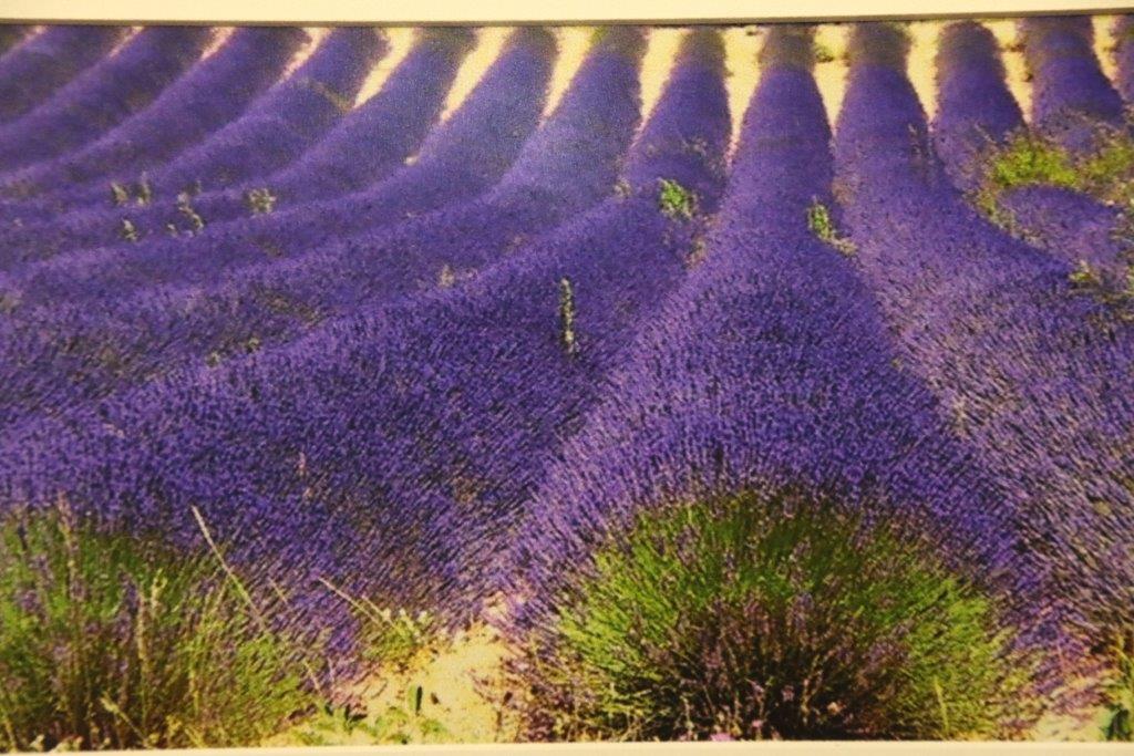 İki Ustadan Büyüleyen Eserler | bodruMania