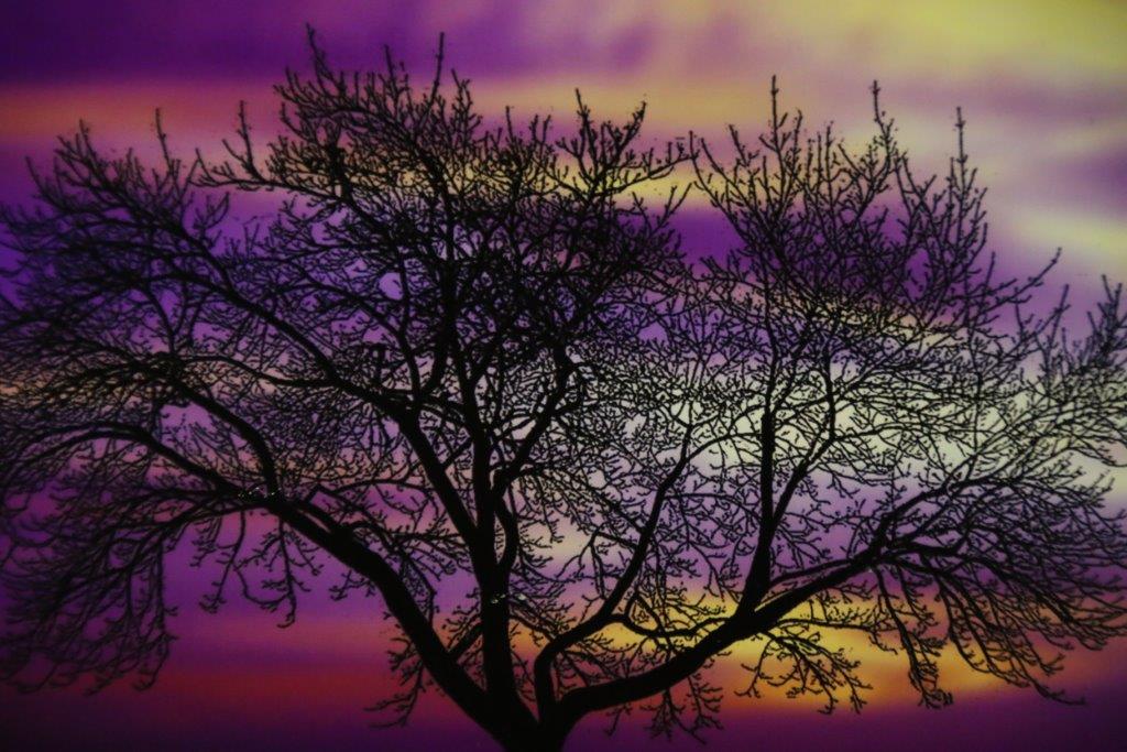 İki Ustadan Büyüleyen Eserler | bodruMania